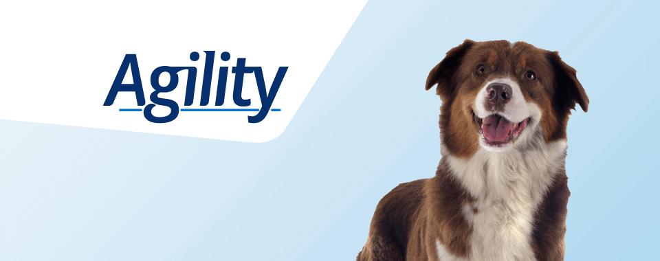 AGILITY PERRO ADULTO TALLA MEDIANA Y GRANDE 20 KG